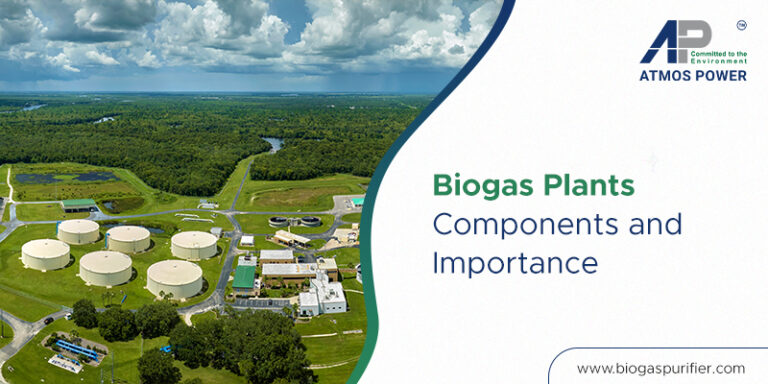 Understanding Biogas Plants: The Main Components and Their Importance ...