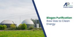 How is Biogas Purified from Raw Gas to Clean Energy? | Biogas Purifier